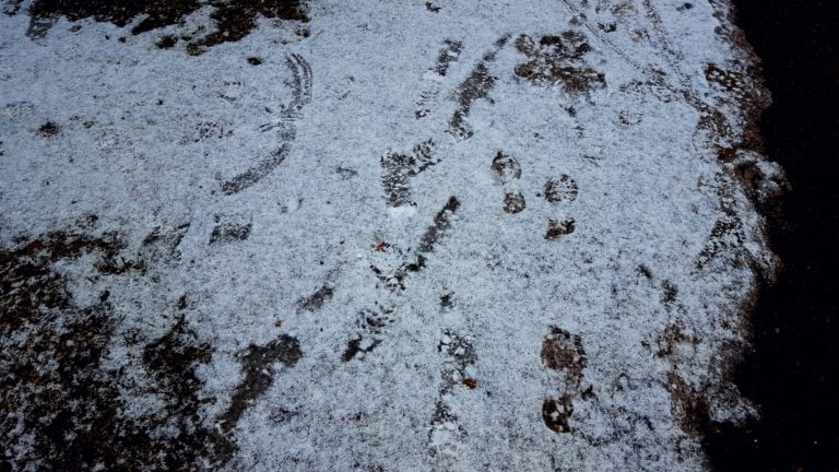 Täiuslik libedus – TEEILMAKESKUS